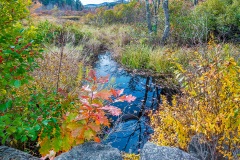 Fall Foliage 2022 - Jim Block Photography