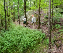 Cook and Deming Easements - Jim Block Photography