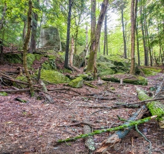 Cook and Deming Easements - Jim Block Photography