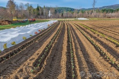 Birds of early May 2022 in Vermont - Jim Block Photography