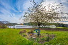 Birds of early May 2022 in Vermont - Jim Block Photography