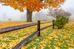 Fall Foliage 2022 - Jim Block Photography