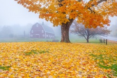 Fall Foliage 2022 - Jim Block Photography