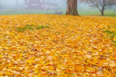 Fall Foliage 2022 - Jim Block Photography