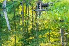 Hopkinton Lake - Jim Block Photography