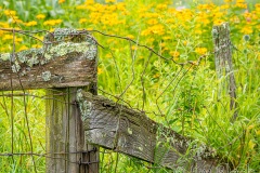 Summer 2024 - Jim Block Photography