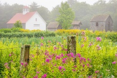 Summer 2024 - Jim Block Photography