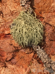 Nature - Jim Block Photography