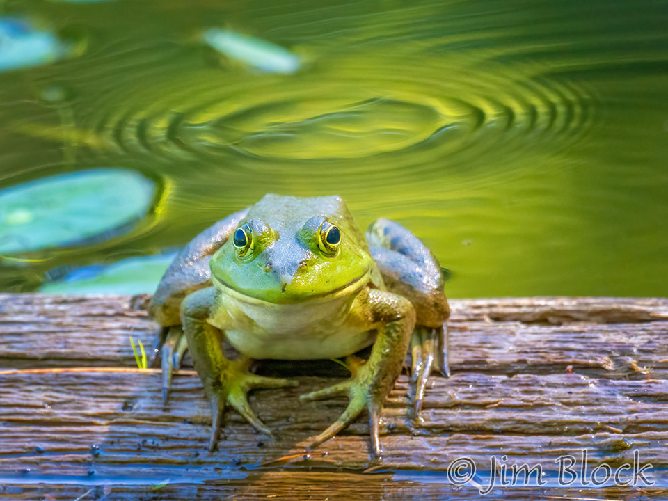 HOME - Jim Block Photography