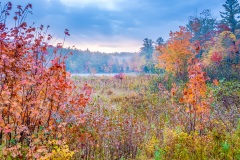 Fall Foliage 2022 - Jim Block Photography