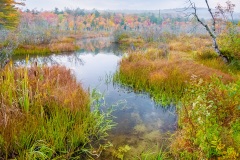 Fall Foliage 2022 - Jim Block Photography
