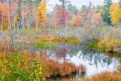 Fall Foliage 2022 - Jim Block Photography