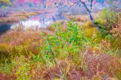 Fall Foliage 2022 - Jim Block Photography