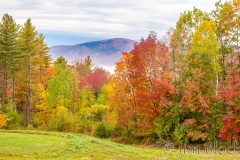 Fall Foliage 2022 - Jim Block Photography