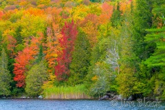 Fall Foliage 2022 - Jim Block Photography