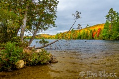 Fall Foliage 2022 - Jim Block Photography