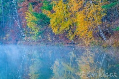 Stick Season 2022 - Jim Block Photography