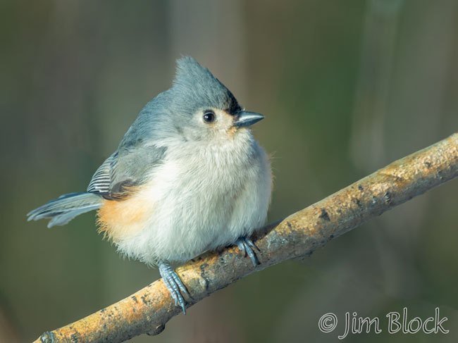 Mid-February in Etna - Jim Block Photography