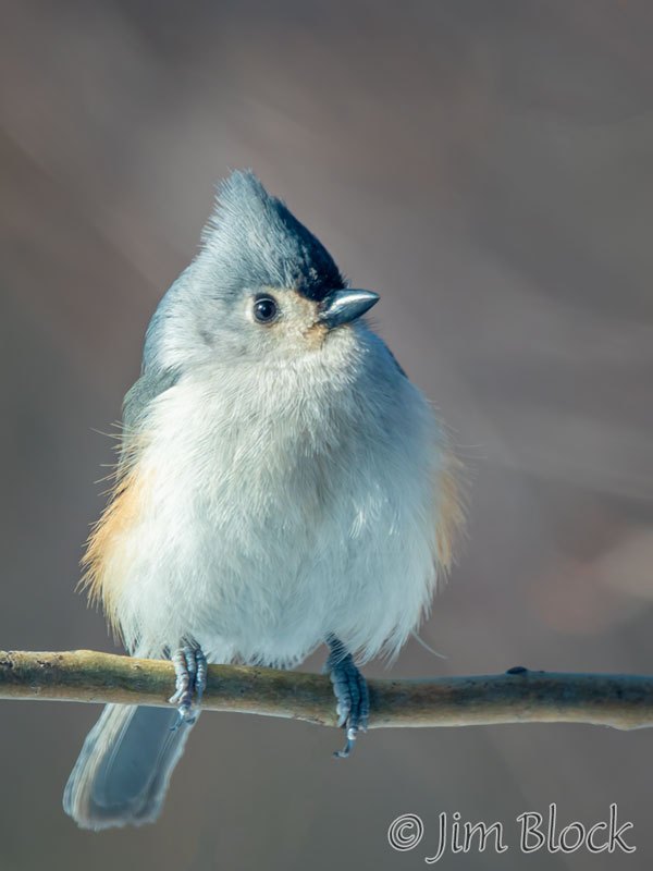 Mid-February in Etna - Jim Block Photography