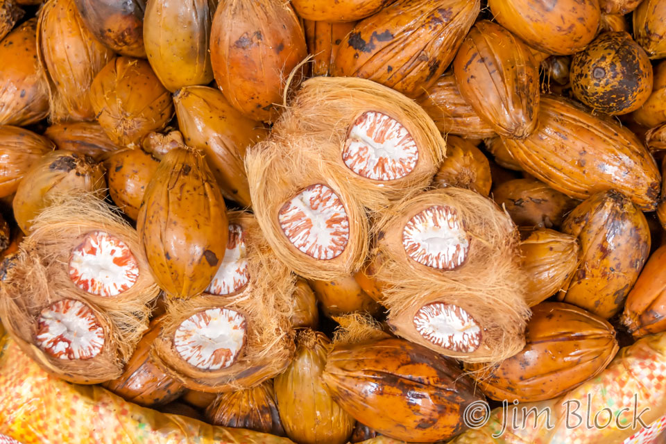 Doma - Jim Block Photography