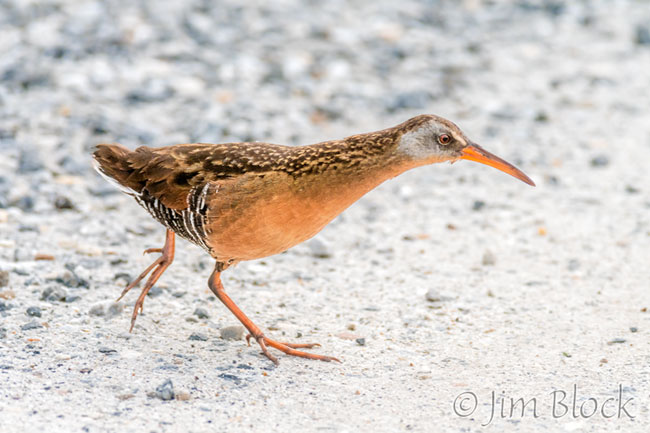 West Rutland Marsh and Deweys Pond - Jim Block Photography