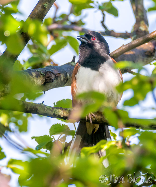 West Rutland Marsh and Deweys Pond - Jim Block Photography