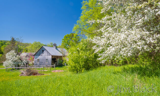 Hayes Farm Park - Jim Block Photography