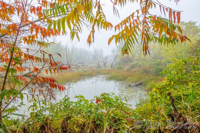 Bedell Bridge State Park - Jim Block Photography