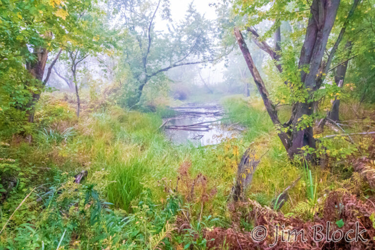Bedell Bridge State Park - Jim Block Photography