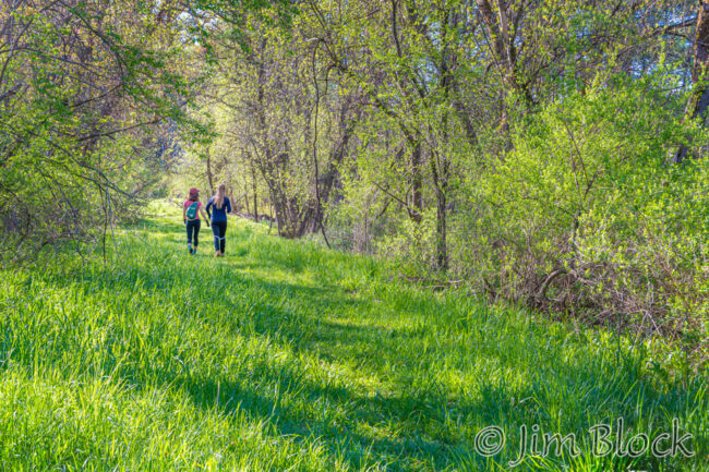 Mink Brook Nature Preserve - Jim Block Photography