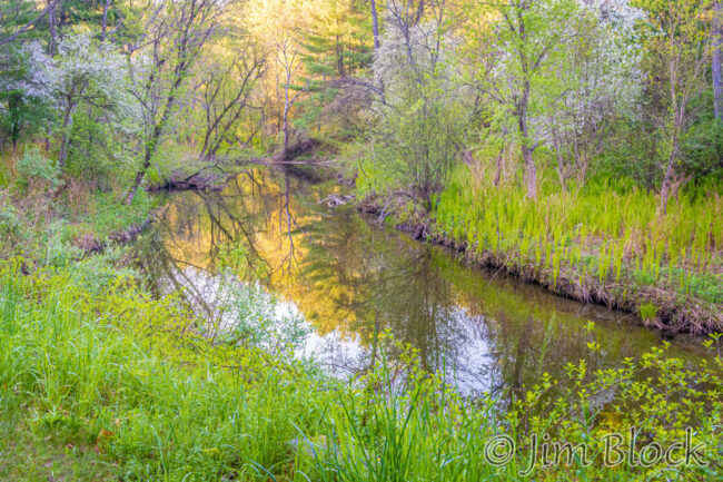 Mink Brook Nature Preserve - Jim Block Photography