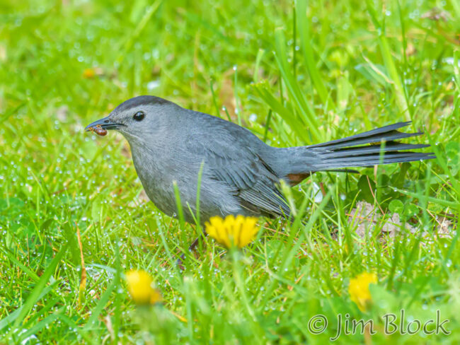 Mink Brook Nature Preserve - Jim Block Photography