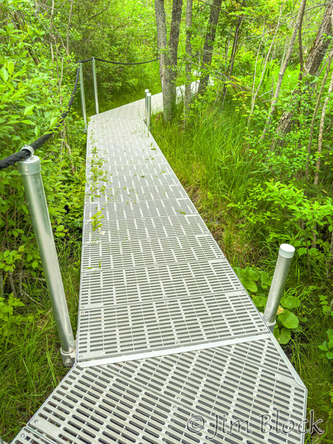 Philbrick-Cricenti Bog - Jim Block Photography