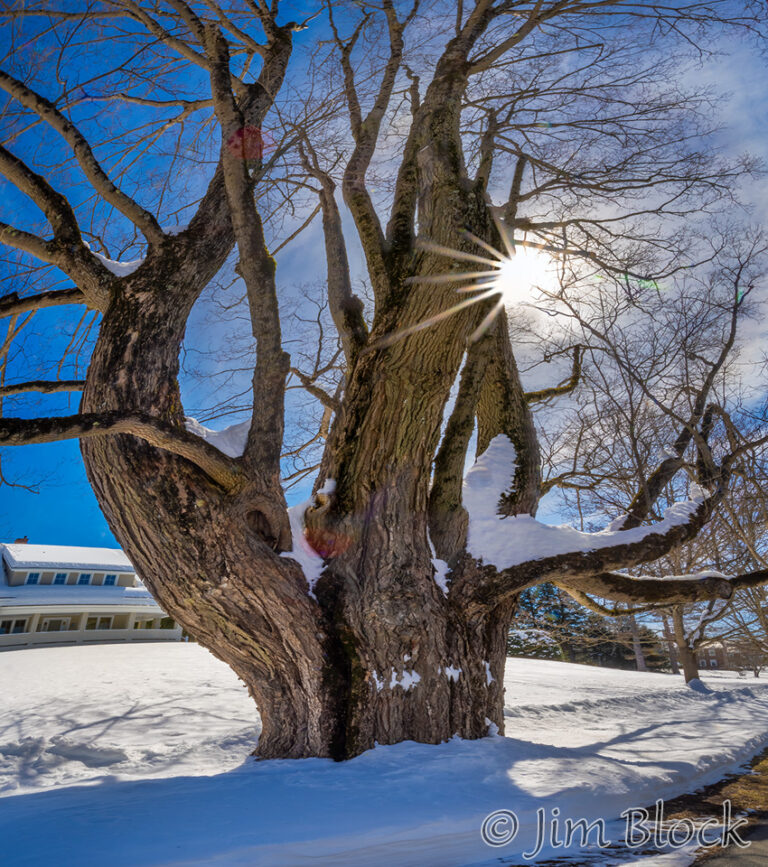 Spring 2024 - Jim Block Photography