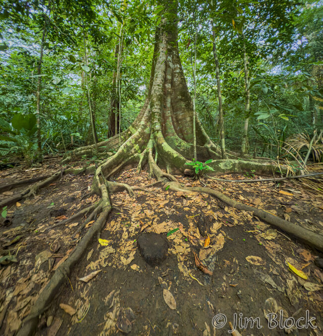 Corcovado — second 24 hours - Jim Block Photography